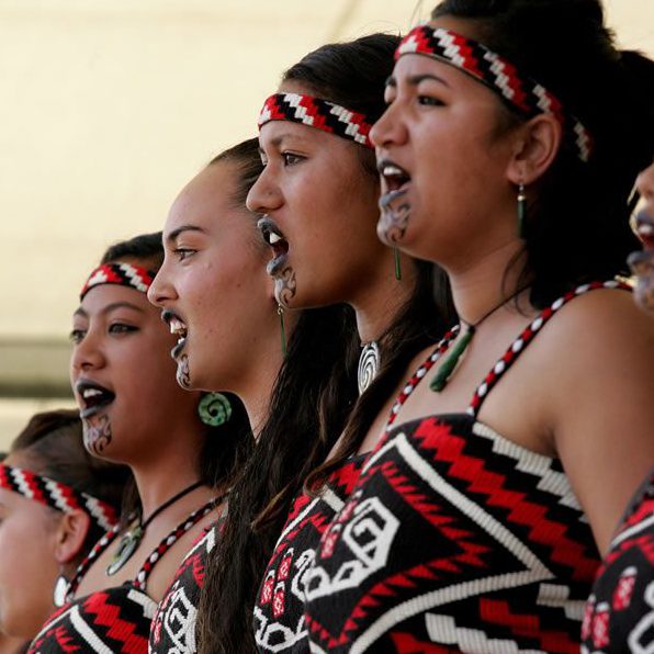 Te Roopu Kapa Haka o Te Kura Kaupapa Māori o Hoani Waititi Marae — What ...
